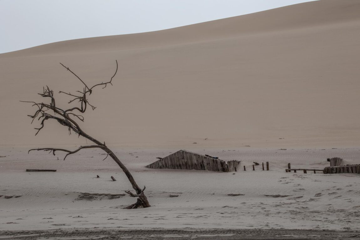 Sandwich Harbour: A Must-Visit in Namibia - Danes on the Road