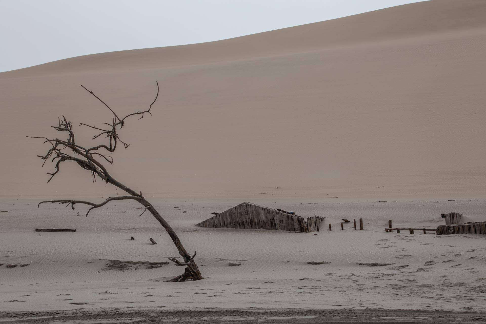 Sandwich Harbour: A Must-Visit in Namibia - Danes on the Road