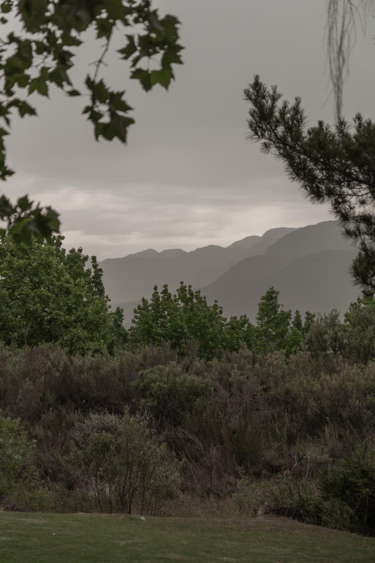 The Ultimate Guide to The Franschhoek Wine Tram - Danes on the Road