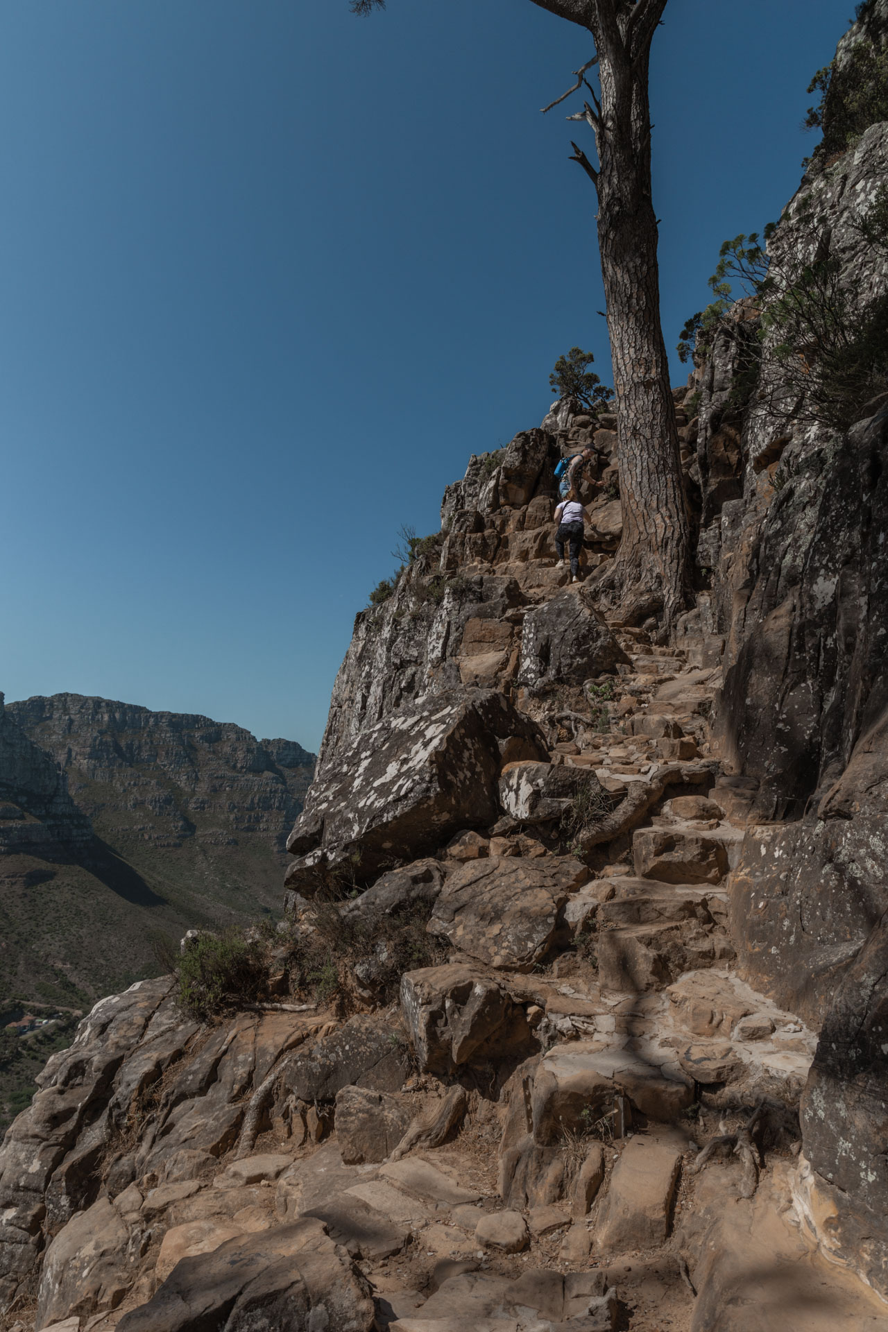 Hiking Lion’s Head: Everything You Need to Know - Danes on the Road