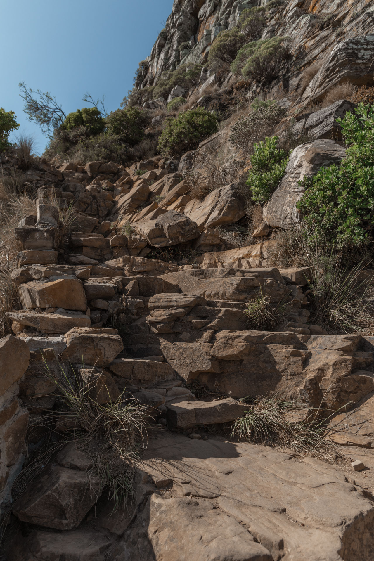 Hiking Lion’s Head: Everything You Need to Know - Danes on the Road